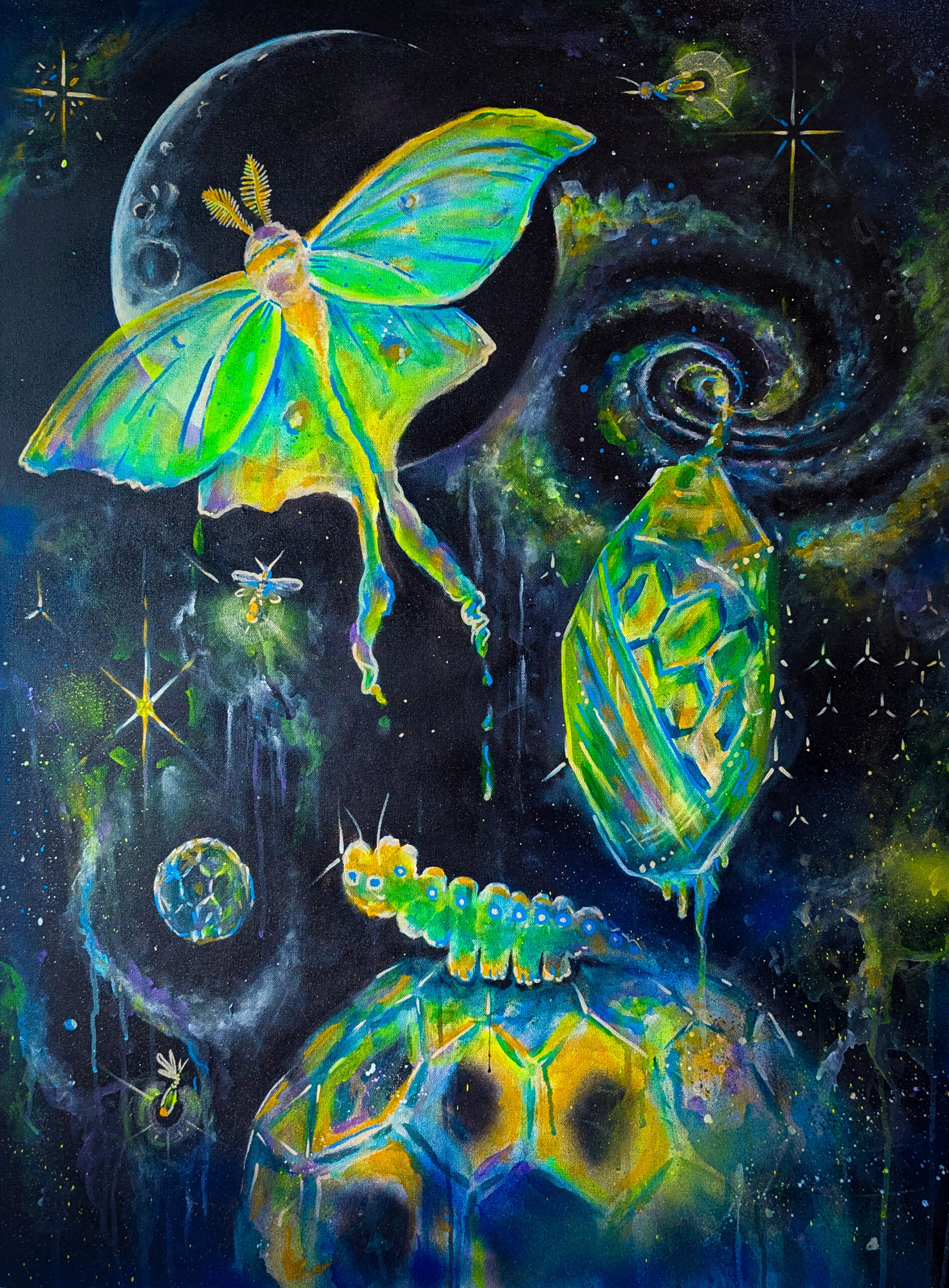 Luna Moth Metamorphosis - DreamPirate Productions